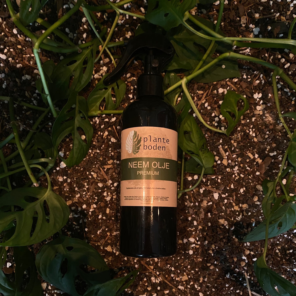 Premium Neem Olje – Planteboden